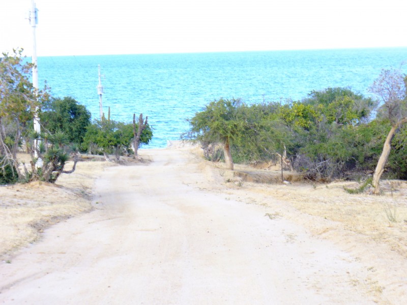 El Cardonal, Until We Couldn't Drive Anymore - One Road at a Time