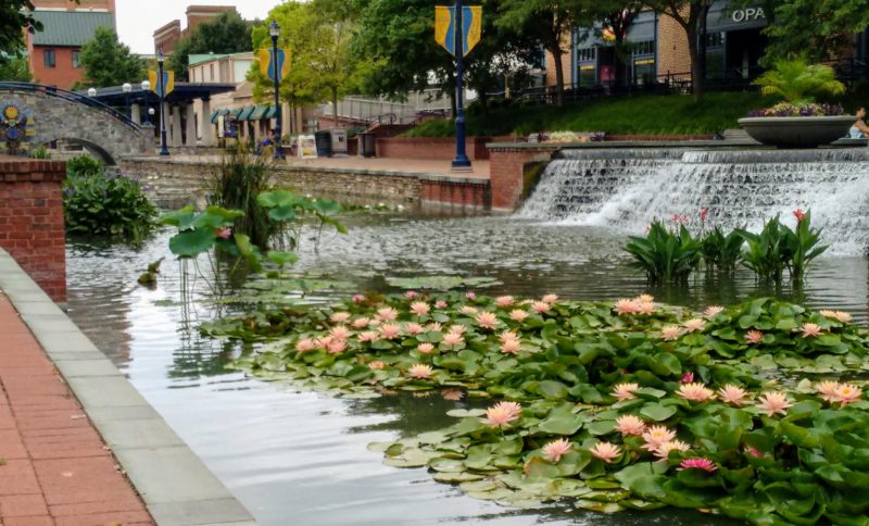 Here's Why You Should Visit Frederick, MD - One Road at a Time