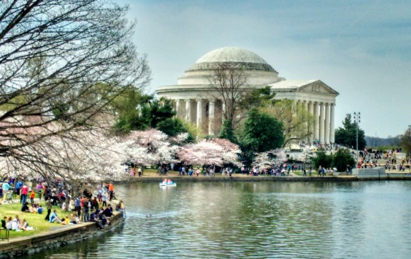 Take a Walk on The National Mall - One Road at a Time