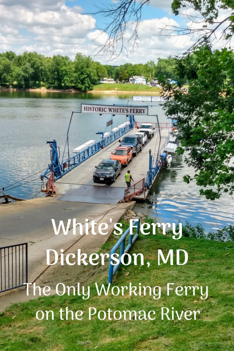 Maryland Roads: Historic White's Ferry - One Road at a Time