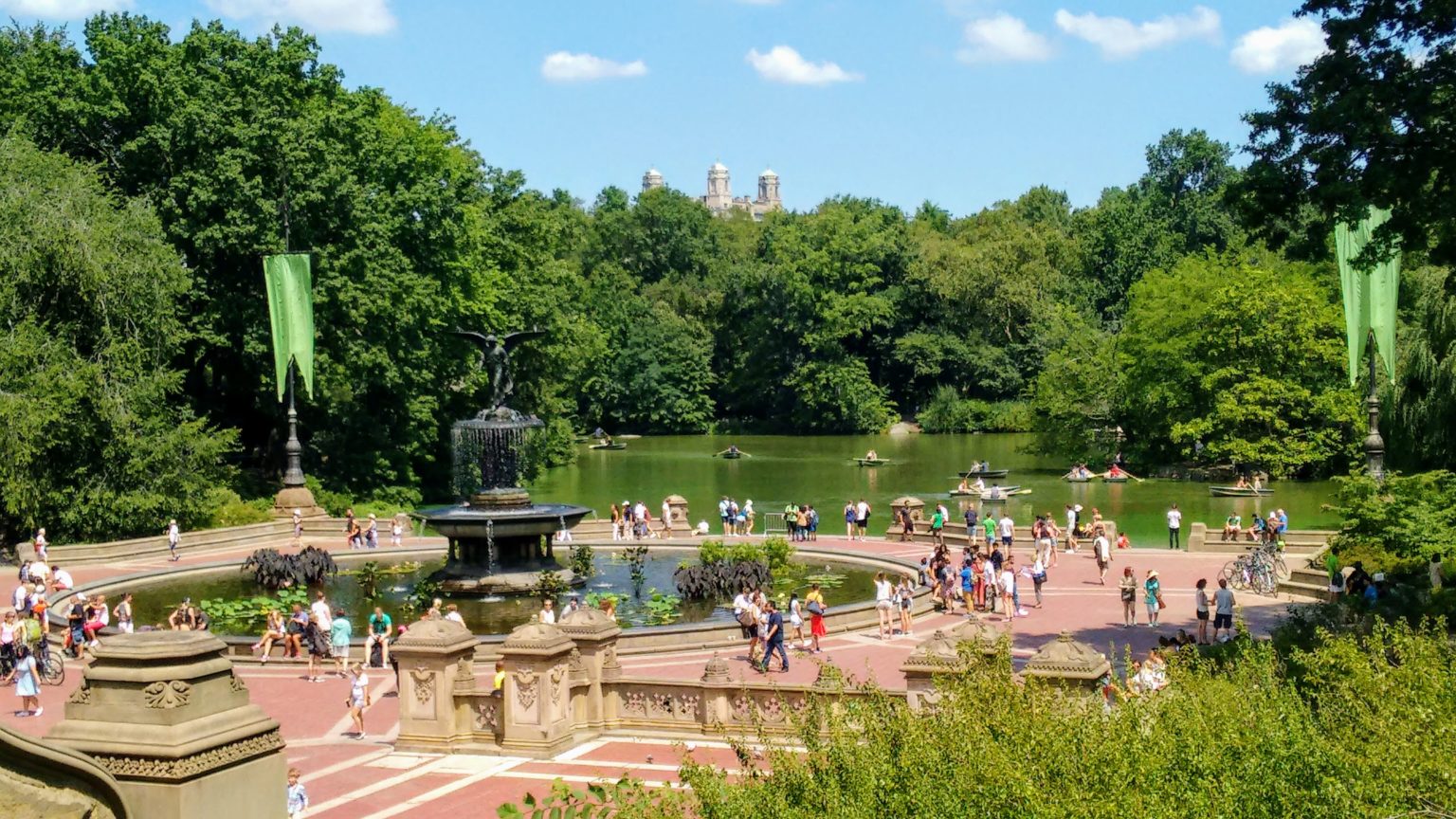 Enjoy the Attractions in Fast-Paced New York City - One Road at a Time