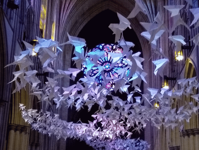 Washington, DC: Les Colombes at the National Cathedral - One Road at a Time