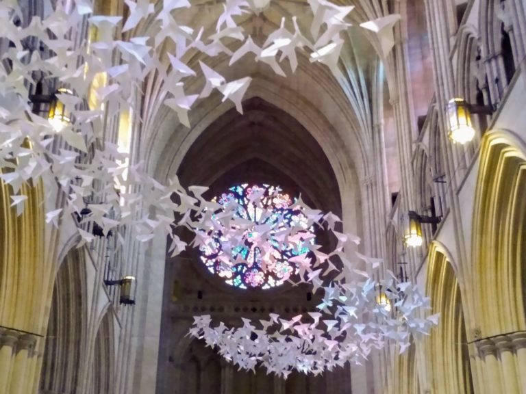 Washington, DC: Les Colombes at the National Cathedral - One Road at a Time