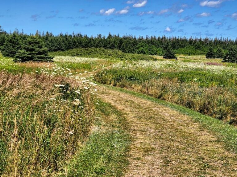 The Floating Boardwalk of Greenwich National Park - One Road at a Time